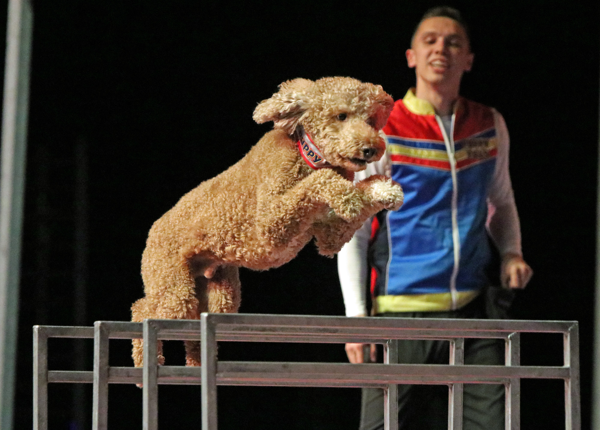RRSpin - Weldon Mills Theatre Puppy Pals Photo Gallery